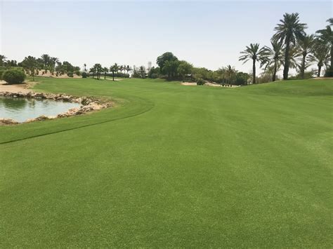 Introducing Purepro™ Seeded Bermudagrass Atlas Turf International