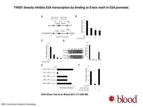 Hypoxia Inhibits Senescence And Maintains Mesenchymal Stem Cell