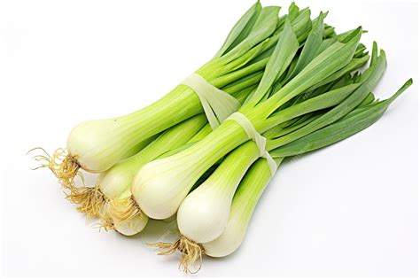 Premium Ai Image Leek Vegetable Photographed On White Backdrop