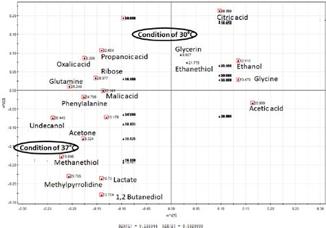 pls da derived loading plot analysis of metabolites profiles pls da