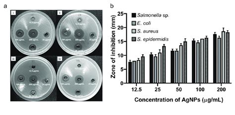 A Antibacterial Activity Of Biosynthesized Agnps Using Agar Well