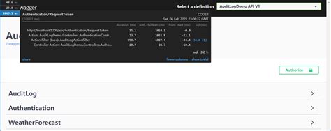 Net Core 集成 Miniprofiler性能分析工具 Csdn博客