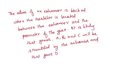 Solved An Enhancer Is Surrounded By Four Genes A B C And D As Shown In The Accompanying
