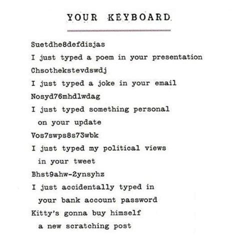 I Could Pee On This And Other Poems From Cats 9 Pics Pleated Jeans