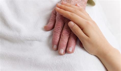 Alte Und Junge H Nde Lizenzfreies Bild Bildagentur Panthermedia