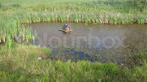 Naturen Stock Foto Colourbox