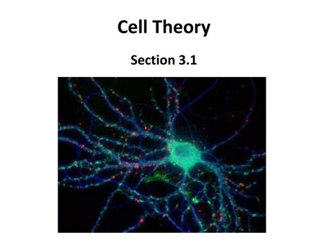 PPT Cell Theory PowerPoint Presentation Free Download ID 1862292