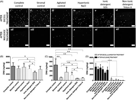 A DAPI Staining Of Nuclear Material Demonstrated That Initial Download Scientific Diagram