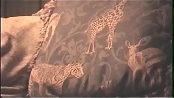 Very Hot Long Dick Suck On My Hiddencam Xvideos Com