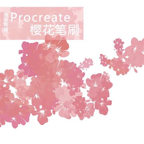 [procreate] 13 บรัช แปรงดอกซากุระไล่ระดับสี โดย 良画商铺 Shopee Thailand