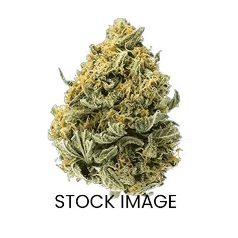 Upnorth Lemon Thai 1g Pre Roll Theraleaf Dispensary San Jose Ca