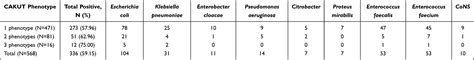 Prevalence And Antimicrobial Susceptibility Pattern Of Uti Idr