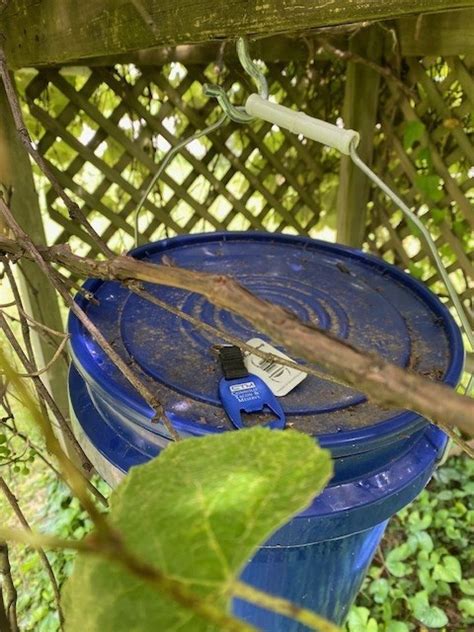 Geocaching Trackable Items Trackable Item Gallery