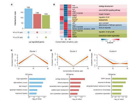 Transcriptome Dynamics Across Different Salinity In The Gills A