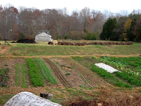 Fall Garden Clean Up Prepare Your Soil For Spring Southern Exposure