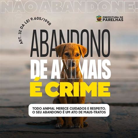 Prefeitura Municipal De Parelhas Campanha Contra O ABANDONO E MAUS