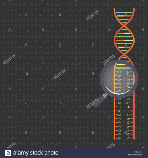 Sugar Phosphate Background Stock Vector Images Alamy