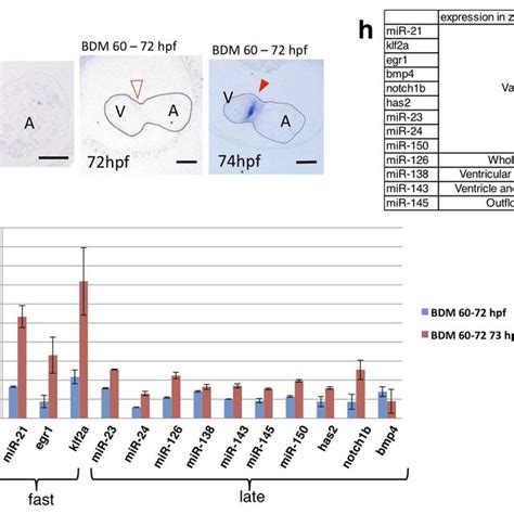 Figure S3 Histogram Of Error For The Gps Elevations Mean Error Of Download Scientific