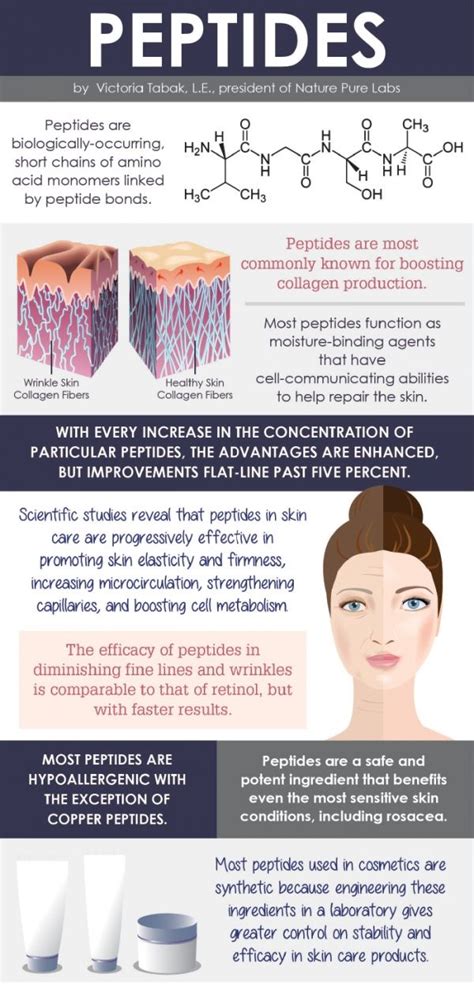 Peptides Infographic Artofit