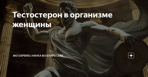 Тестостерон в организме женщины — Teletype