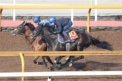 【ヴィクトリアm】ステラリア中2週でも元気に栗東cwで6f追い サンスポzbat