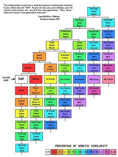 Best 13 A Helpful Dna Relationship Chart Especially For Ancestrydna