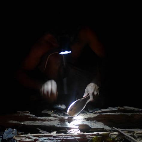 Stream D507 Birds With Scraping By Bills Amazonas Sound Library