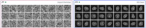 Cryoem 冷冻电镜聚类中心 2d Class 粒子图像的解析