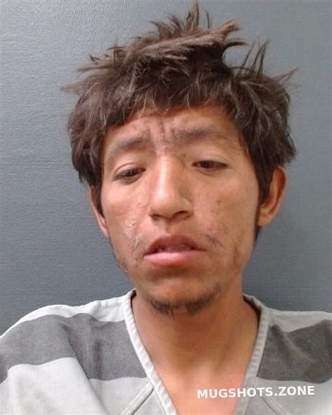 ALVARADO ANGEL 11 11 2024 Comal County Mugshots Zone