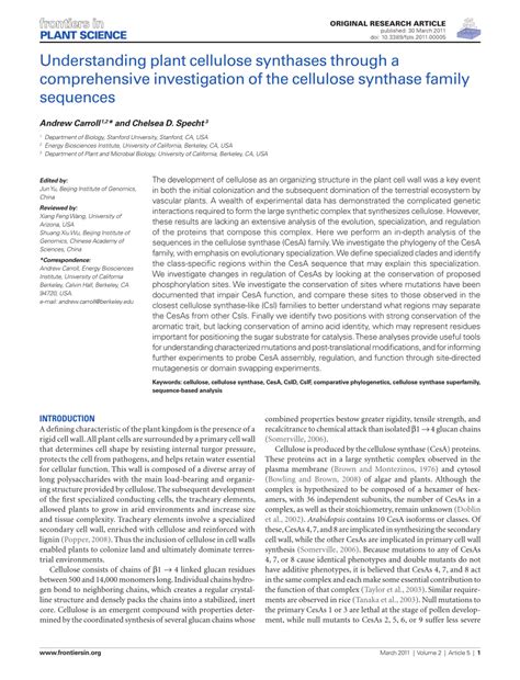 Pdf Understanding Plant Cellulose Synthases Through A Comprehensive
