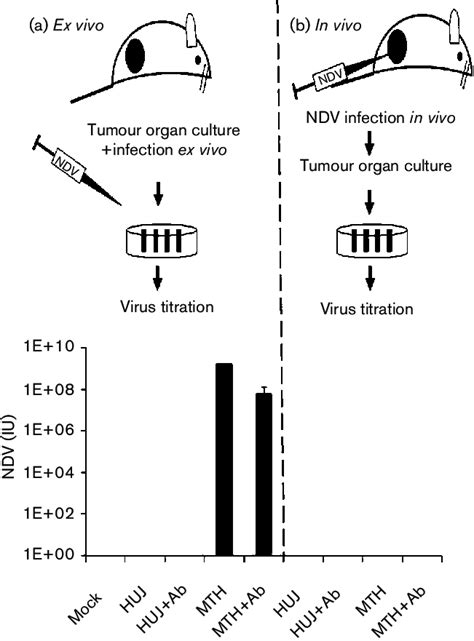 Tissue Spread Of Ndv Mth Virus Following In Vivo And Ex Vivo Infection Download Scientific