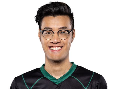 Wildturtle Age