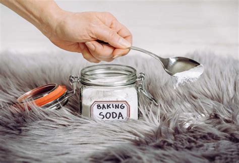Killing Fleas With Salt And Baking Soda