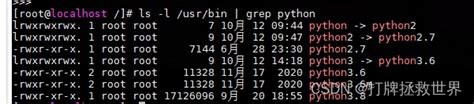 Docker Python Docker Python Csdn