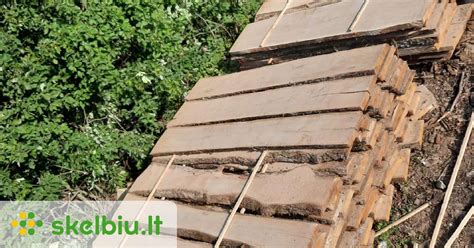 Ąžuolo Dilės Skelbiult