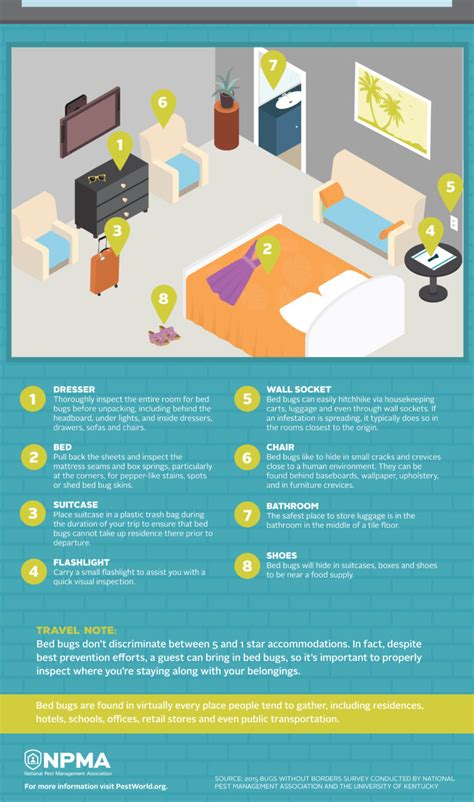 Bed Bug Checklist Infographic Jandj Exterminating