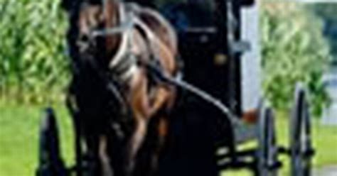 Amish Group Charged With Hate Crimes After Cutting Off Rival Sects
