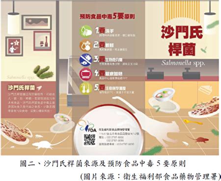 認識沙門氏桿菌 遠離食安風險 病媒 大紀元
