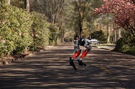 Cassie Bipedal Robot Sets Guinness World Record For 100 Meters Sprint