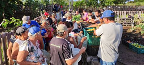 Em 60 dias projeto Horta Comunitária atende mais de cinco mil famílias