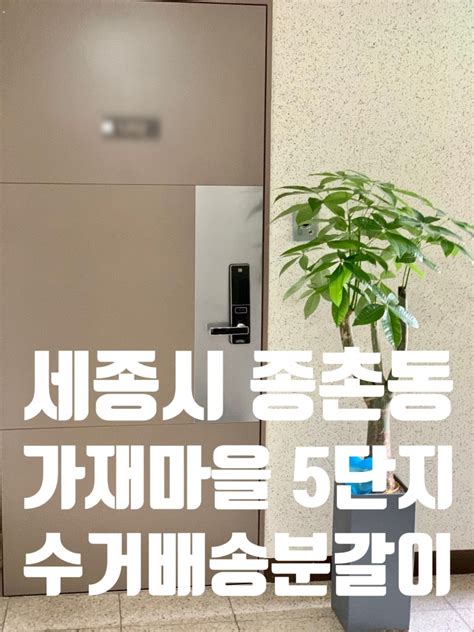 [세종화훼단지] 세종시 종촌동 가재마을5단지 죽은 식물 수거배송 분갈이 공기정화식물 파키라 진행해드렸어요~ 네이버 블로그