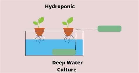 Rdwc System And Dwc System Simple Hydroponic Techniques The Backyard Blog