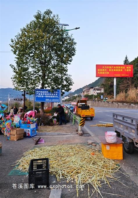 20240216苍溪县城回水湿地公园杨晓蓉摄01 苍溪最大的纪实图片网站 苍溪百科图库
