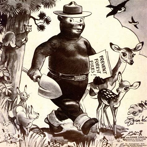 Christopher Leps On Linkedin Wildfires Wildfireprevention