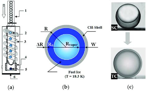 Fst Layering Method A Layering Module Diagram 1 Sc 2 Moving Shell Download Scientific