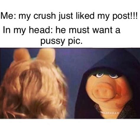 21 Best Evil Miss Piggy Images On Pinterest Funny Memes Hilarious