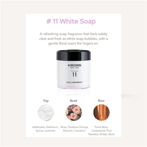 Buy Wdressroom Dress And Living Deodorant Diffuser In Singapore Hushsg