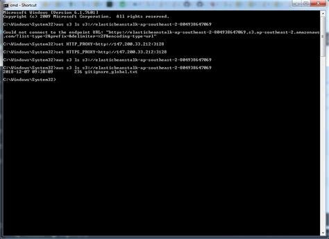 Amazon Web Services Aws S Cli Could Not Connect To The Endpoint