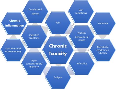 Chronic Toxicity And Disease Dagmar Ganser True Medicine Naturopath Gold Coast Nutrition