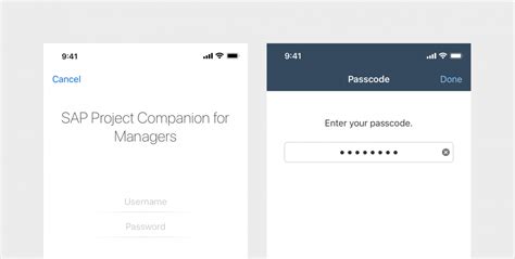 Authentication Overview SAP Fiori For IOS Design Guidelines